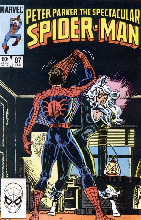 Black Cat Flashback The Spider Manblack Cat Romance