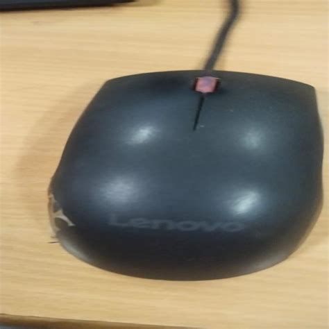 Mouses Object Detection Dataset V3 2024 12 31 1 51pm By 1