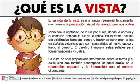 Qué es la Vista Sentido de la Vista
