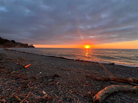 ჩვენ გვიყვარს ციხისძირი