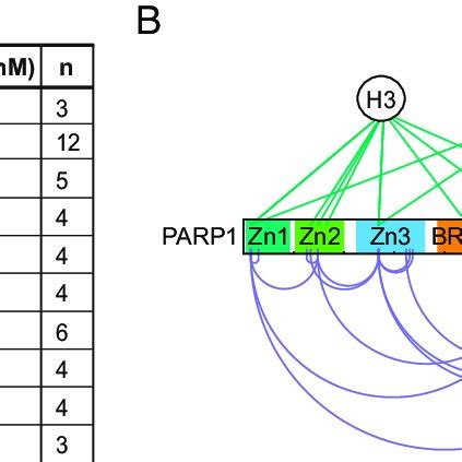 General Process Of Chromatin Remodeling Closed Compact Chromatin