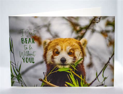 I Cant Bear To Be Without You Cute Valentines Card Dog Card