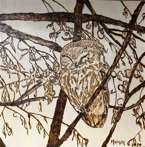 Pyrography Of A Nyctale Owl Pyrography Owl Photo