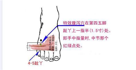 地五会穴 地五会穴的位置和作用 99养生堂