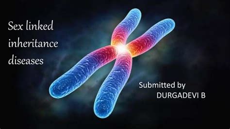 Sex Linked Inheritance Diseases Pptx