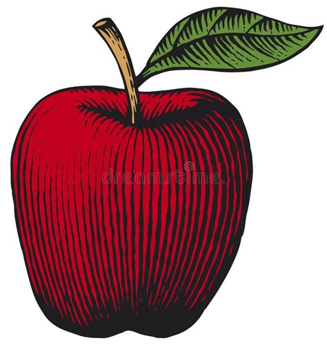 Red Apple Stock Vector Illustration Of Nutritious Garden 31060519