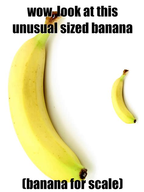 Banana For Scale R Funny