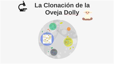 Diagrama De Dolly La Oveja Clonada
