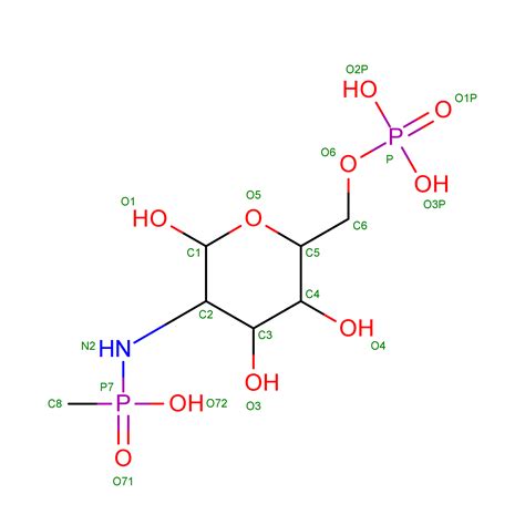 Rcsb Pdb 2p53 Crystal Structure Of N Acetyl D Glucosamine 6