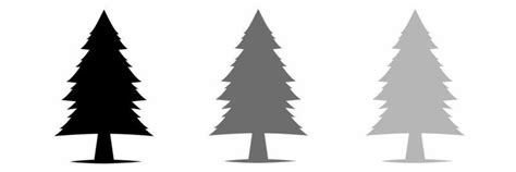 Pine Tree SVGs For Free Download