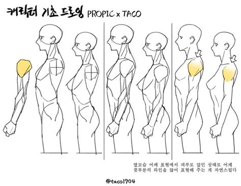 When Drawing The Shoulders In A Side View Leaving A Gap In The Outline