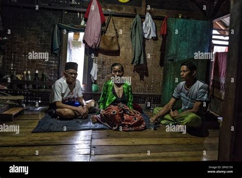 Minamata Disease Mercury Pollution Illegal Gold Mining Effects Java