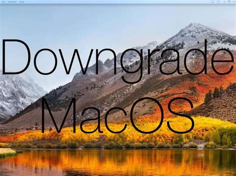 Downgrade To MacOS Mojave From Catalina How To Insider Paper