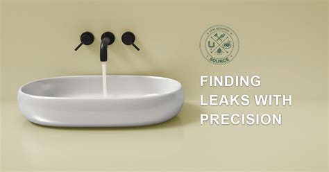 Portfolio Archive Source Leak Detection