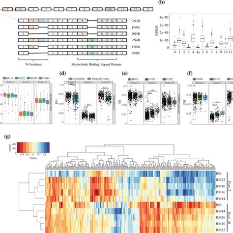 Splicing Factor And Rna Binding Protein Expression Is Differentially Download Scientific