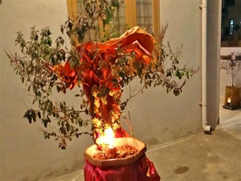 Tulsi Vivah 2023 Maa Lakshmi Will Shower Blessing And Money On Tulsi