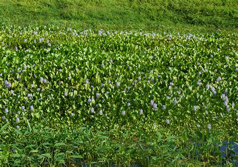 Engage The Exotic Curated Just For You