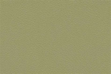 Ofs Evolution Mitosis