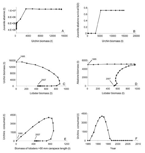 Species Interactions In The Invaded Zone D Showing A Juvenile Abalone