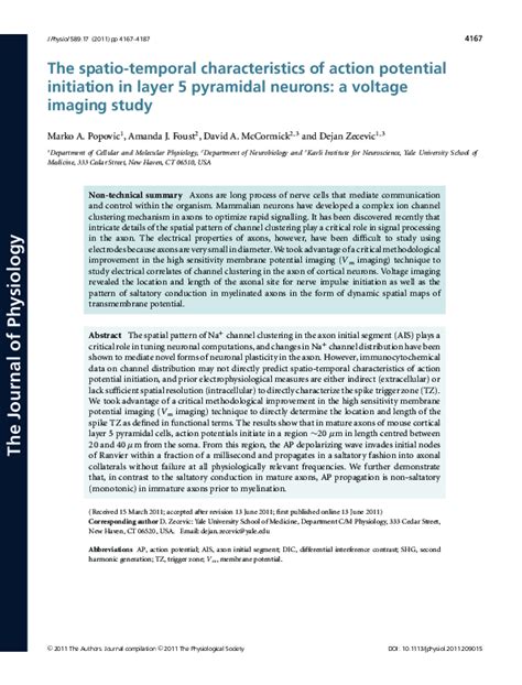Pdf The Spatio Temporal Characteristics Of Action Potential Initiation In Layer 5 Pyramidal