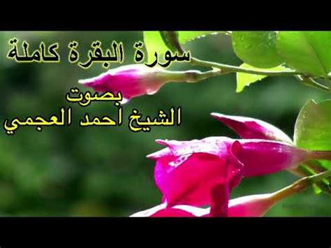 سورة البقرة كاملة بدون اعلانات بصوت الشيخ احمد العجمي YouTube