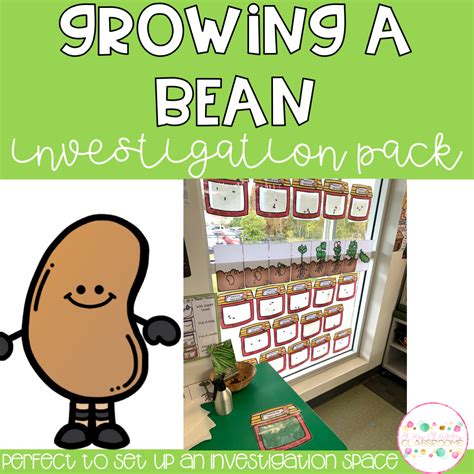 Growing A Bean Investigation Pack Stay Classy Classrooms