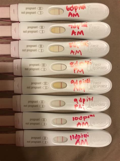 Guide To Testing Out The Trigger Pregnancy Test Addict