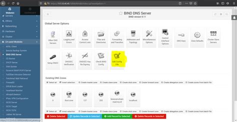 Instalasi Dns Server Bind Di Webmin Radifans Blog