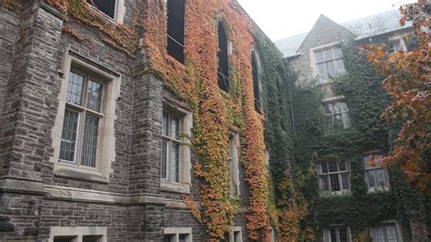 Imagine Humanities At Mcmaster