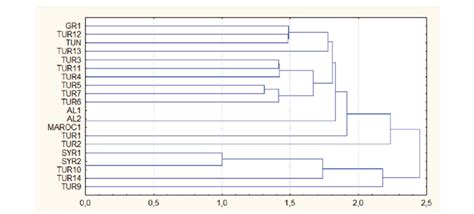 Dendrogram Of Hierarchical Clustering Of Pisum Sativum Accessions Based