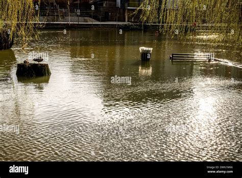 The River Nene In Flood In Central Peterborough Cambridgeshire