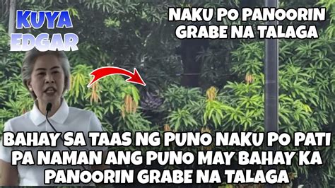 BAHAY SA TAAS NG PUNO NAKU PO PANOORIN GRABE PATI PANAMAN SA TAAS NG PUNO MAY BAHAY NA YouTube