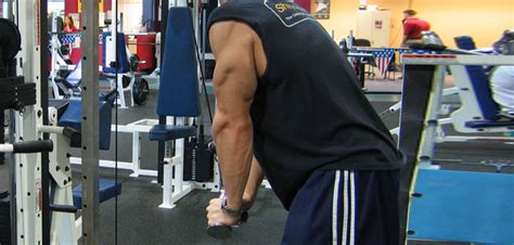 What Is V Bar Pushdown Triceps Pushdown How To Do Benefits