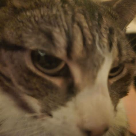 Julianna Locklear Youtube