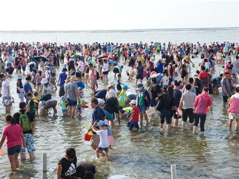 2018七股海鮮節重頭戲「摸蛤仔兼洗褲」挖文蛤吸引1萬5千人次 台灣焦點與掌故
