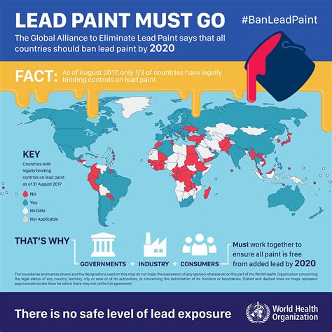 Lead Poisoning Nursing Care Planning And Management