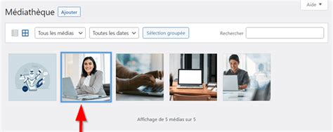 comment ajouter des balises alt aux images dans wordpress 3 méthodes