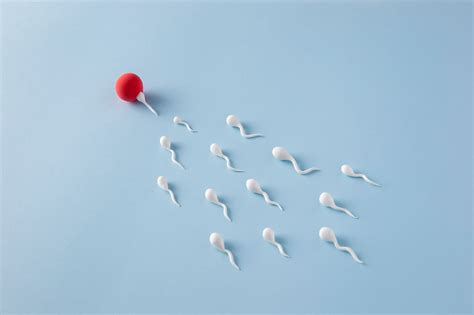 Ways To Improve Sperm Morphology Naturally