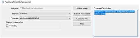 Volatility Workbench Empowering Memory Forensics Investigations
