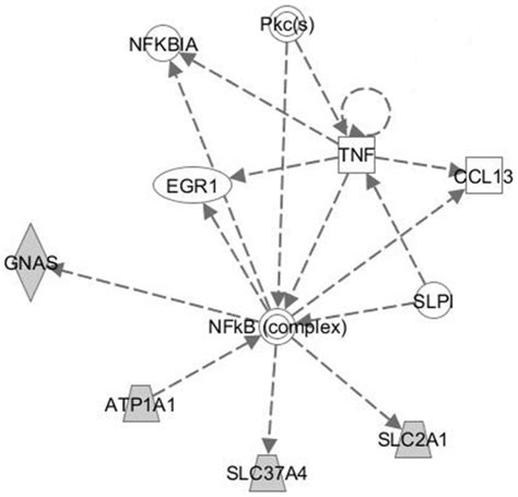 Signalling Pathway Links Were Generated Through The Use Of Ingenuity