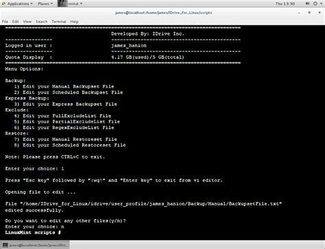 Bitburner Deleting Server Script Ilikesilope