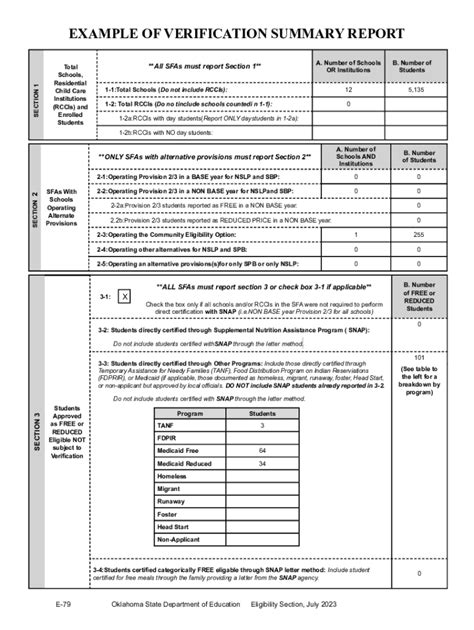 Fillable Online Online Verification Summary Report Vsr Sample Form Fax Email Print Pdffiller