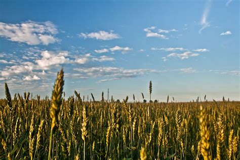 Understanding Depth Of Field In Landscape Photography Apogee Photo
