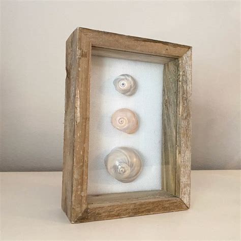 Shell Shadow Box Etsy