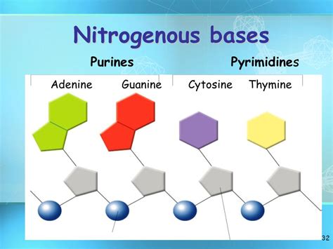 Bio Macromolecules Ppt Download