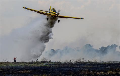 Telesur Los Incendios Forestales Amenazan Al Pantanal