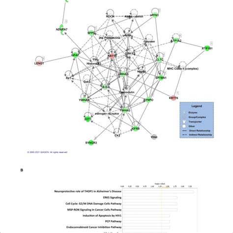 Pathway And Network Analysis Of Proteins Regulated By K48