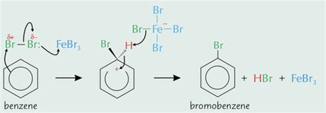 Chapter 18 Part 2 Flashcards Quizlet