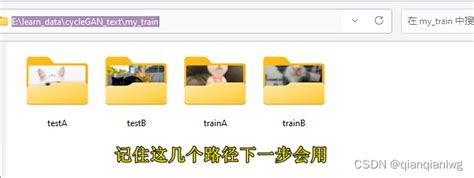 草履虫cyclegan从零到一复现：介绍、配置、测试、自定义训练（大一作业） Csdn博客