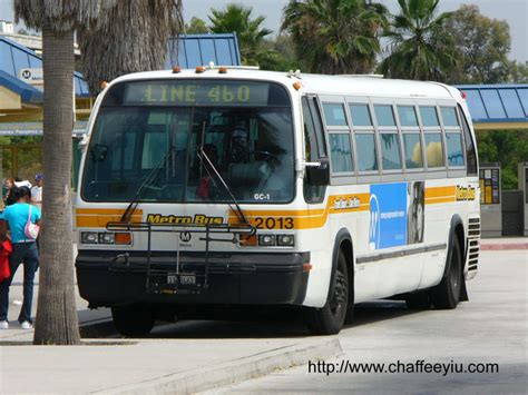 Lacmta